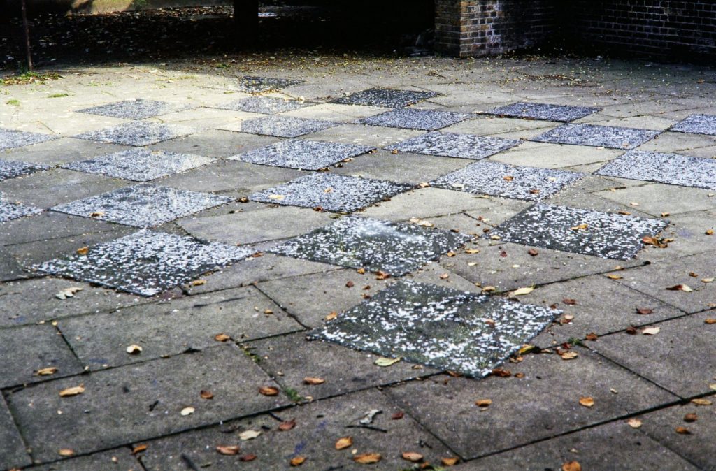 Shelagh Wakely: Rainsquare - South London Gallery