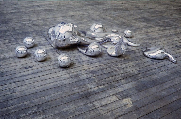 Marc Quinn: Solo Exhibition - South London Gallery